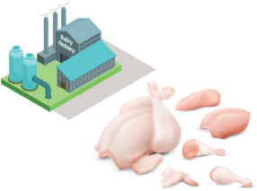 The Eureka Way | Eureka Chicken